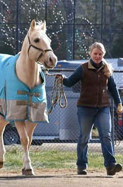 About Maine Harness Racing Commission: Bureau of Agriculture, Food and ...
