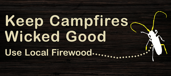 Maine Firewood: Untreated Out of State Firewood Ban: Maine Forest ...