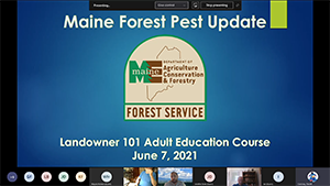 Forest Health & Monitoring: Maine Forest Service: Maine ACF