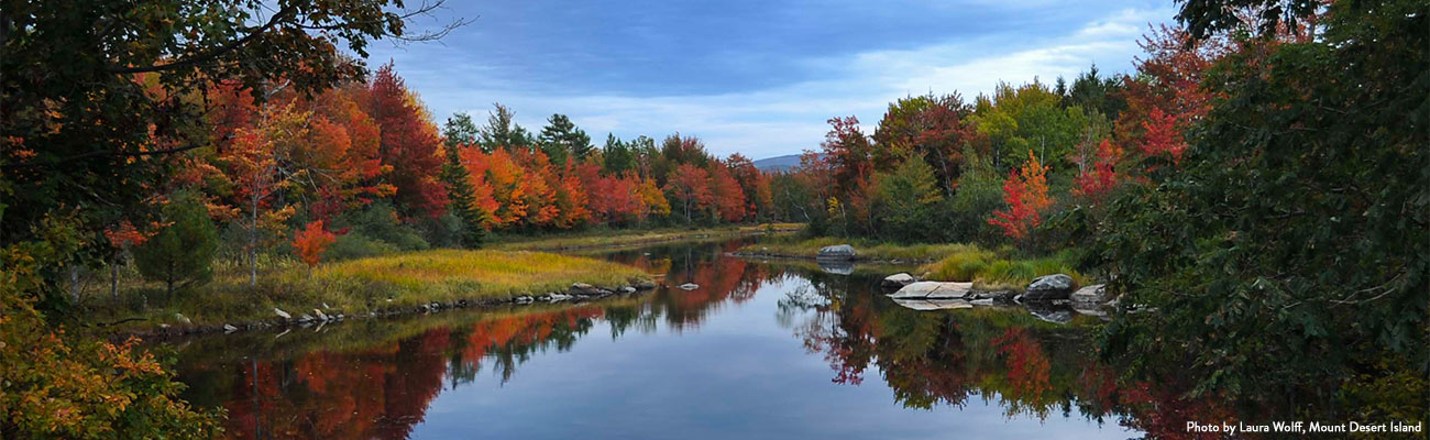 MaineFoliage.com - Maine's Official Fall Foliage Website