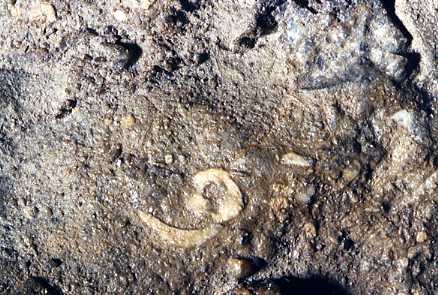 Maine Geological Survey: Bringing the Past to Life - View I