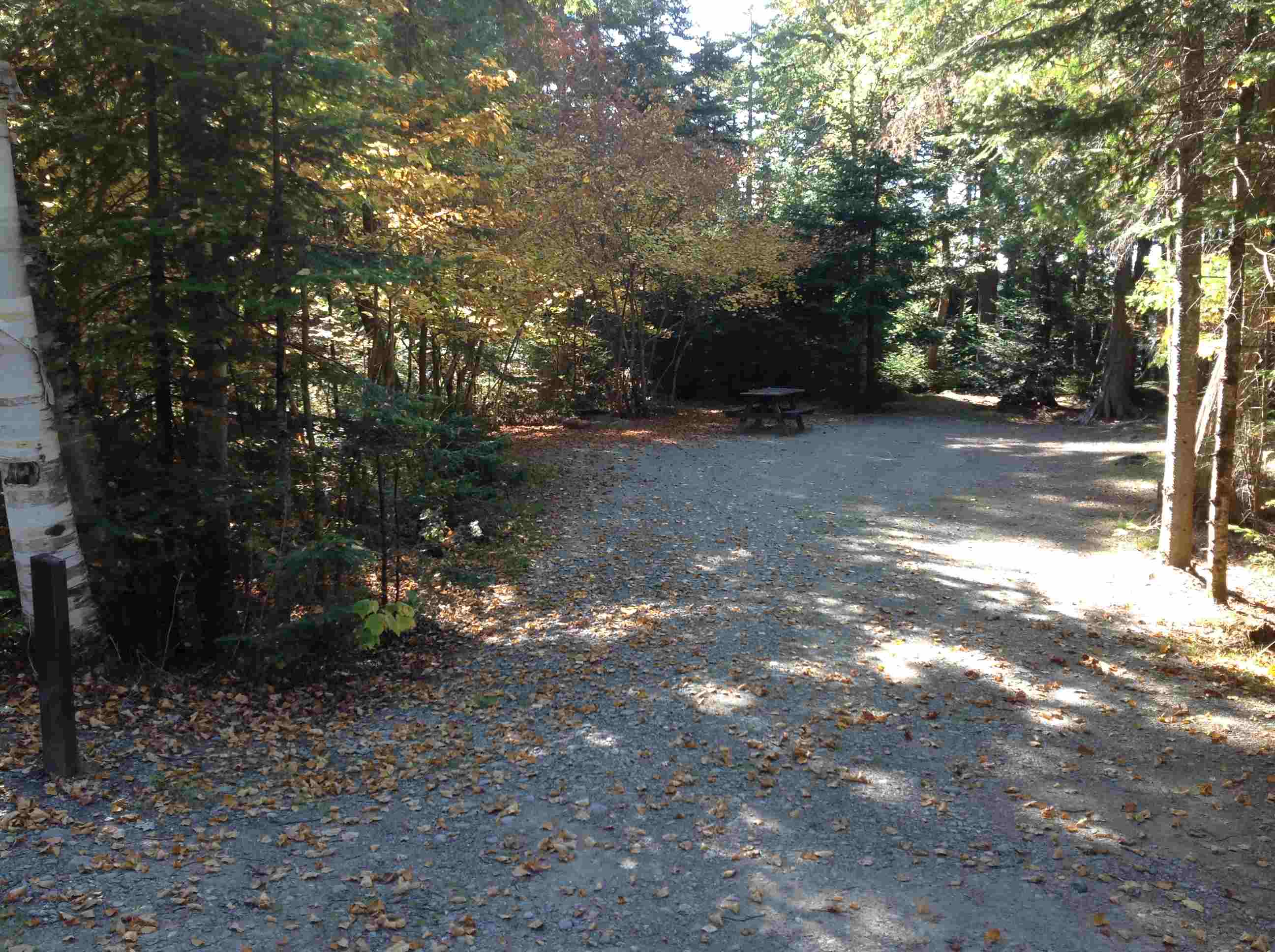 69 . 550113 45 . 57778 0 800 0 69