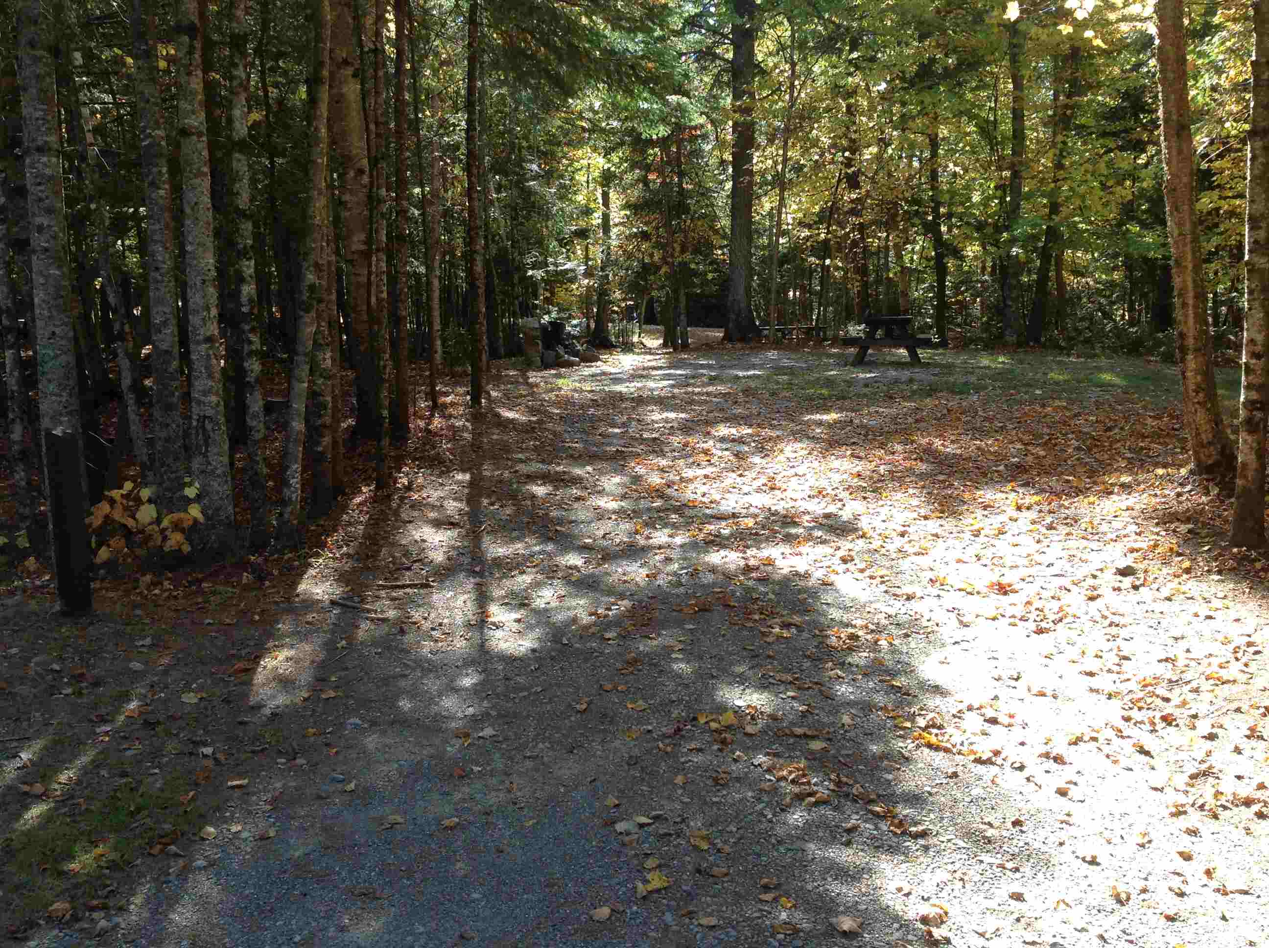 69 . 550541 45 . 579998 0 800 0 69