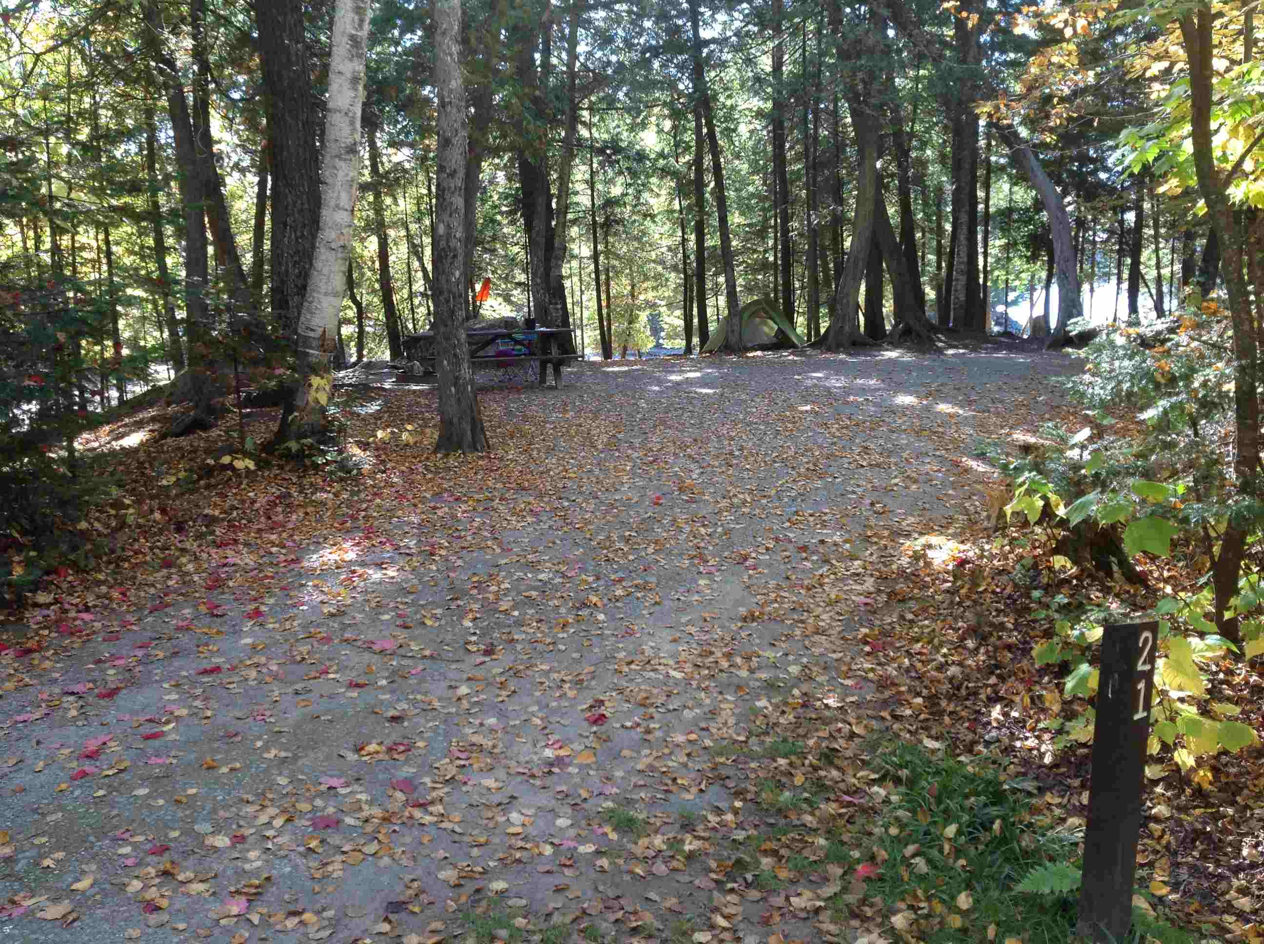 69 . 551557 45 . 579671 0 800 0 69