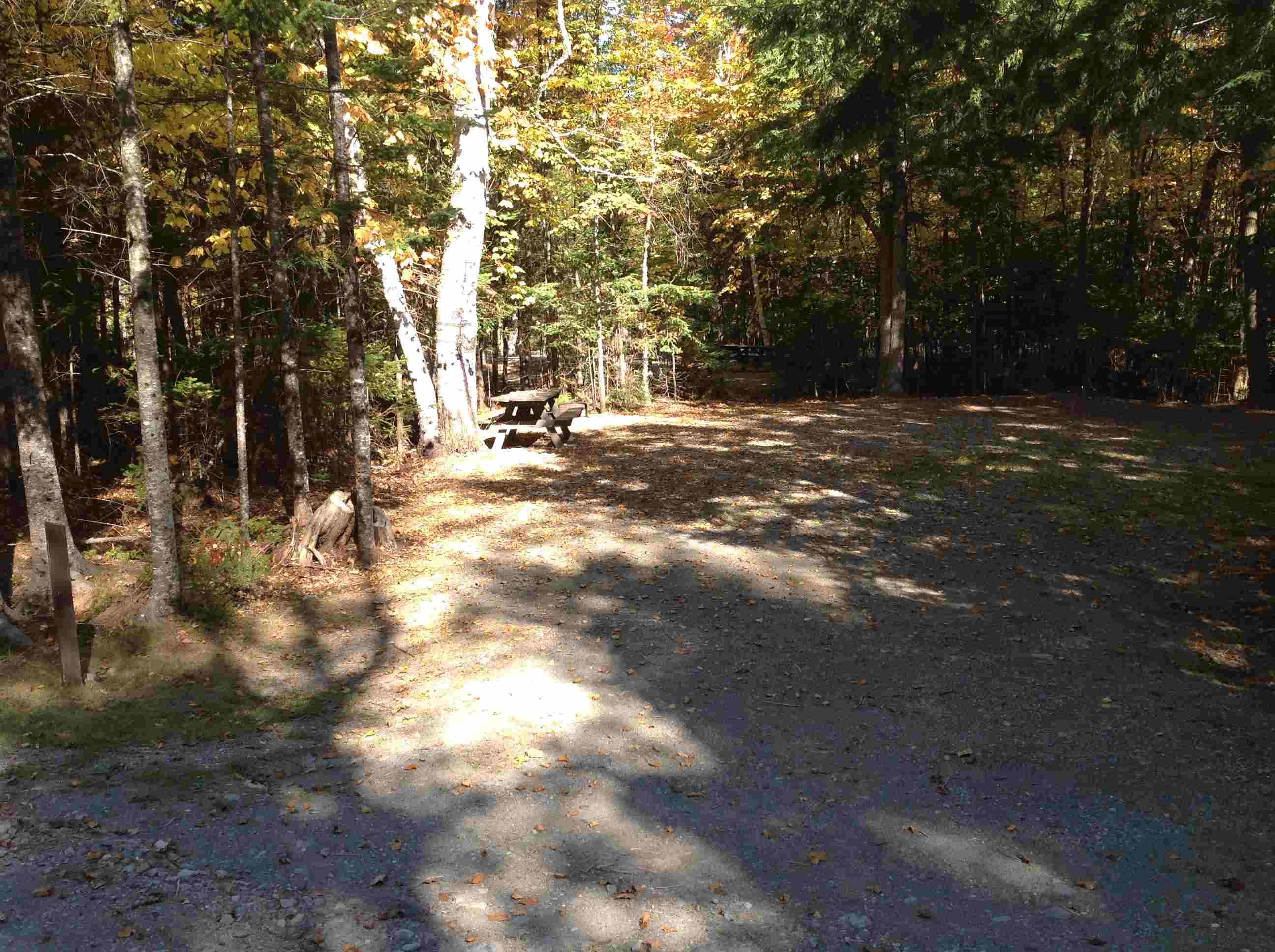 69 . 550621 45 . 579264 0 800 0 69