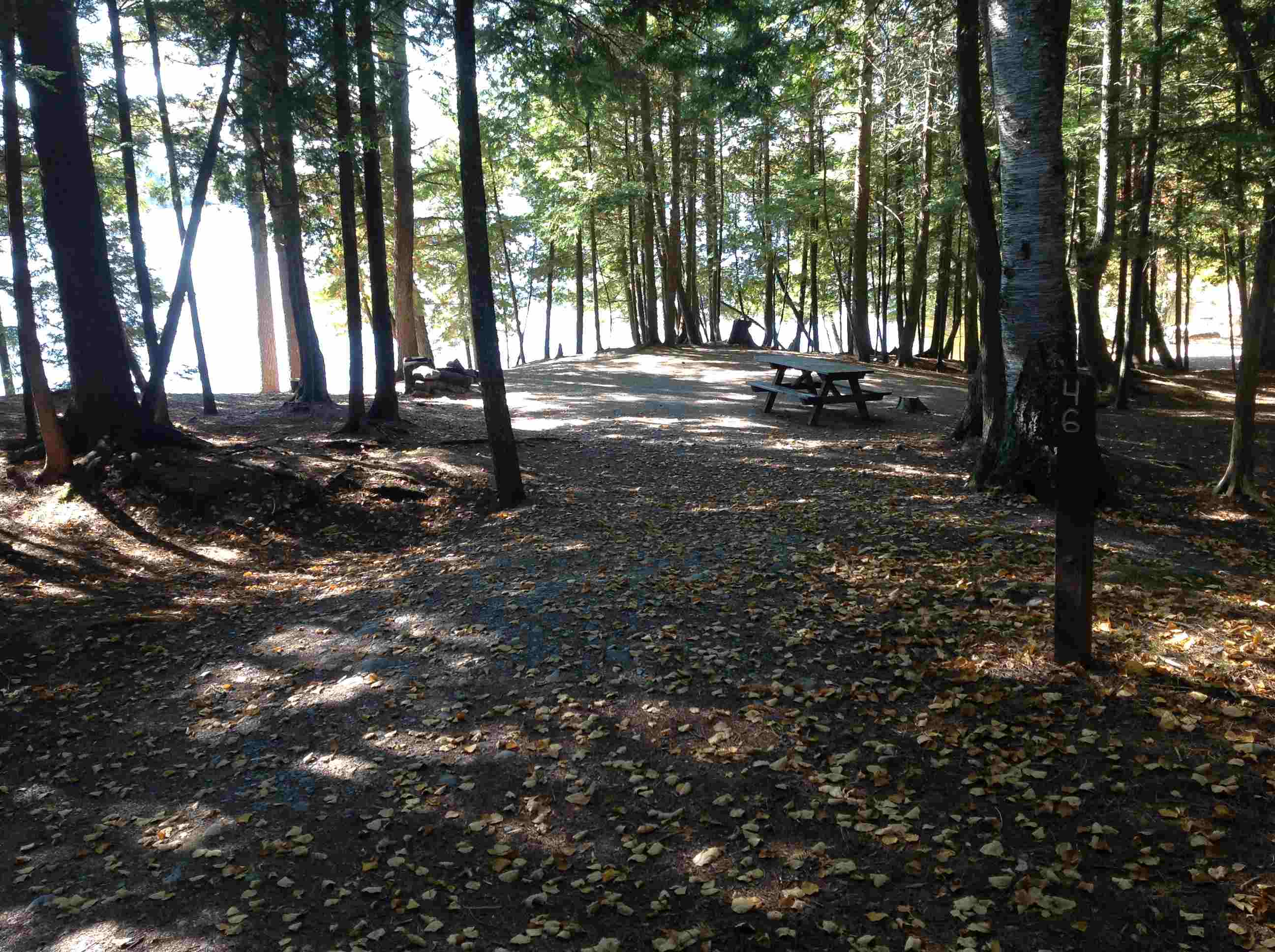 69 . 551257 45 . 57842 0 800 0 69