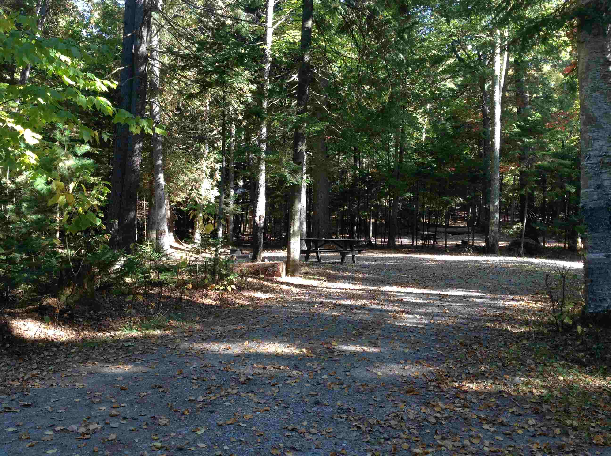 69 . 567131 45 . 572003 0 800 0 69