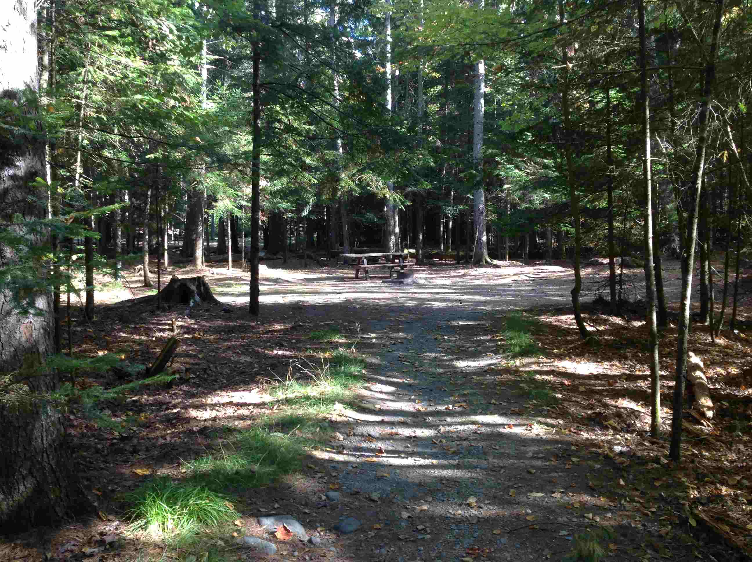 69 . 567079 45 . 571064 0 800 0 69