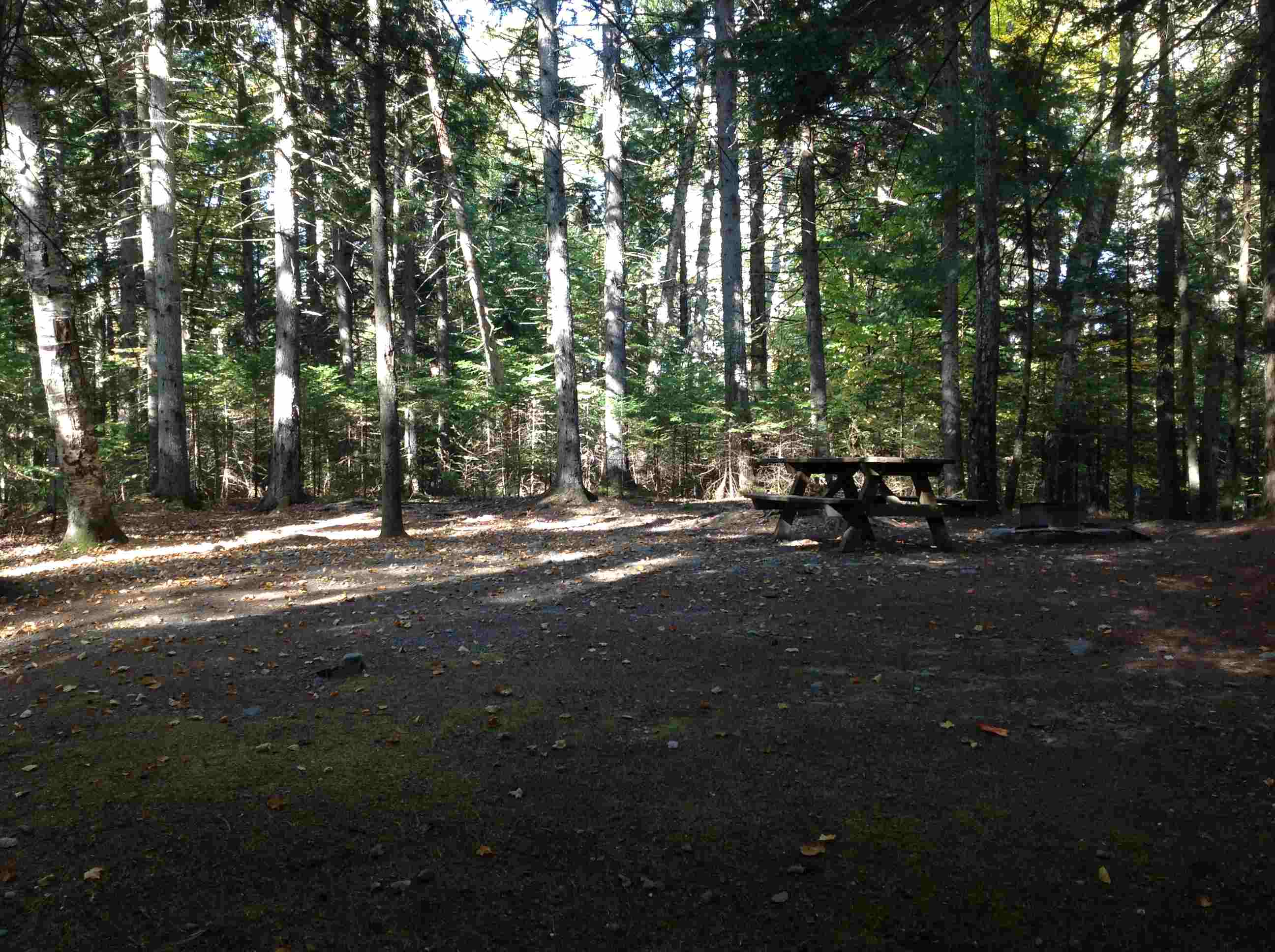 69 . 565951 45 . 571374 0 800 0 69