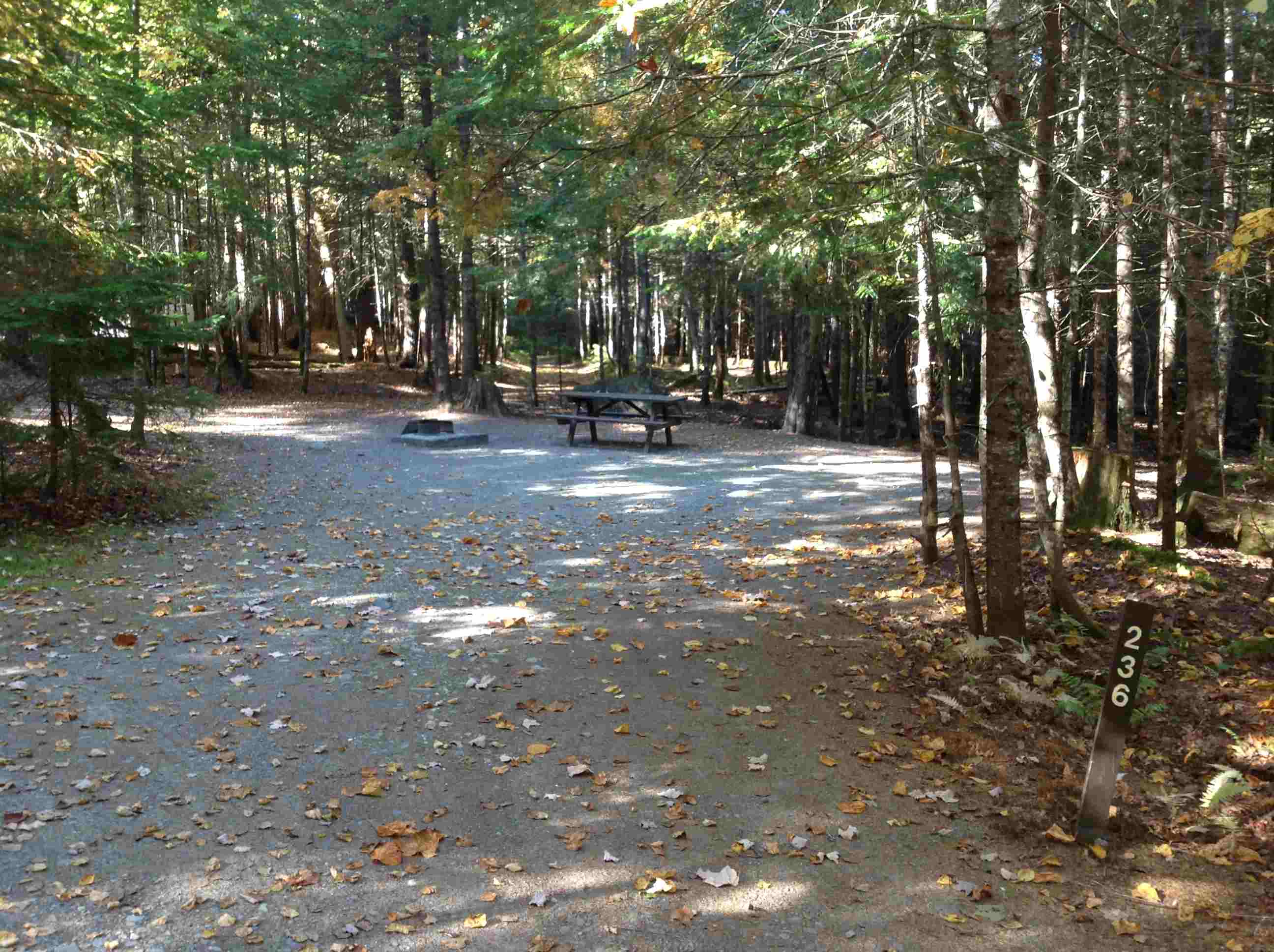 69 . 564769 45 . 571656 0 800 0 69