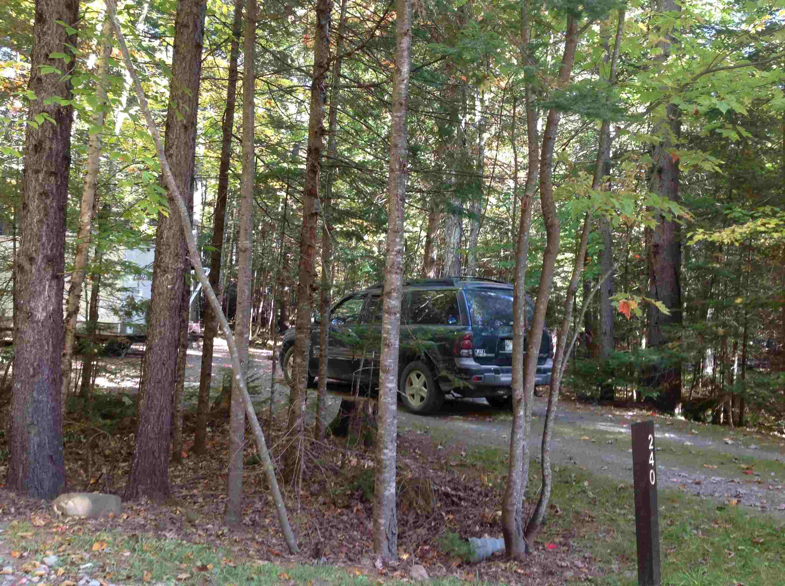 69 . 563165 45 . 57165 0 800 0 69