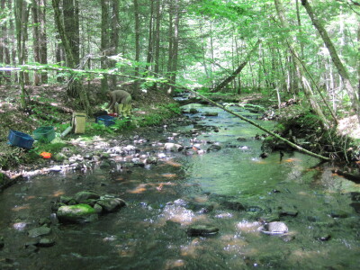 Biomonitoring Stations