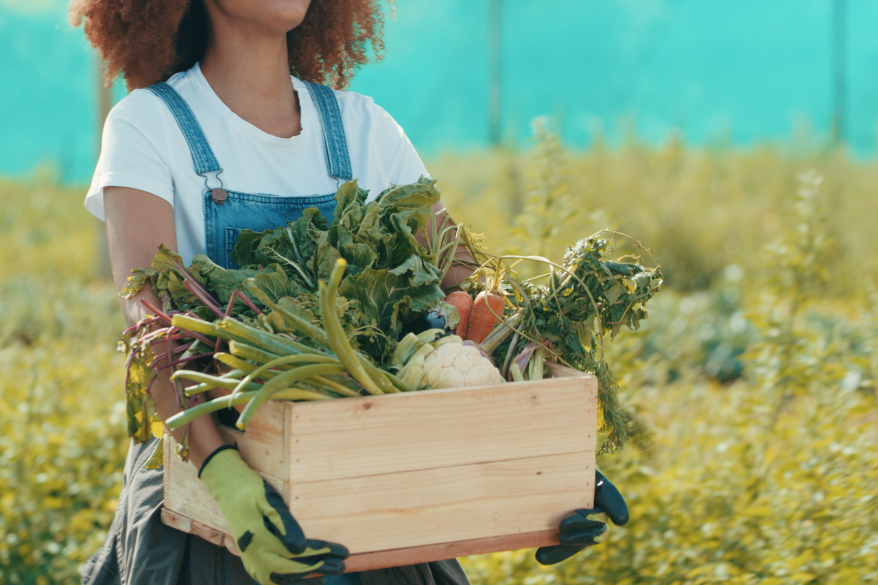 Programs - Child Nutrition | Department of Education