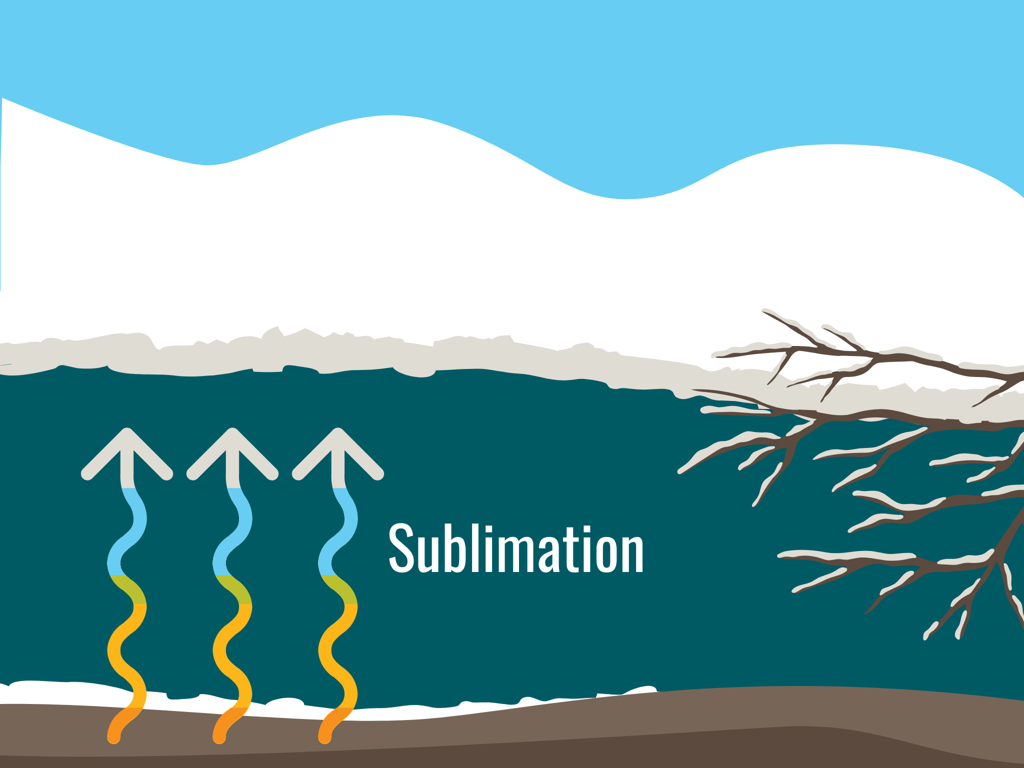 Spring Reveals Subnivean Secrets | IFW Blogs