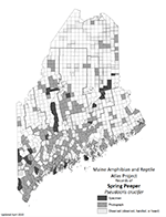 Spring Peeper: Reptiles & Amphibians: Species Information: Wildlife ...