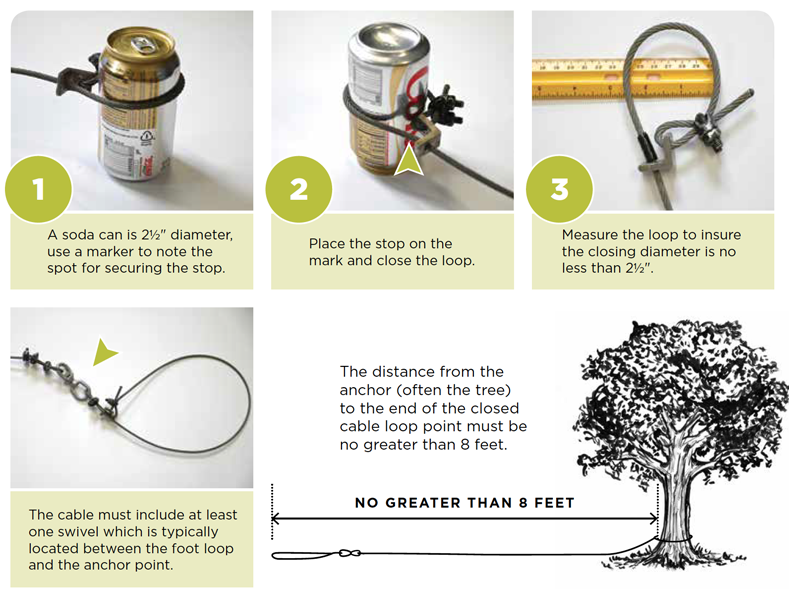 Bear Trapping: Laws & Rules: Trapping: Hunting & Trapping: Maine Dept ...