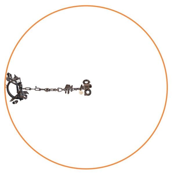 Trapping Regulations: Laws & Rules: Trapping: Hunting & Trapping: Maine ...