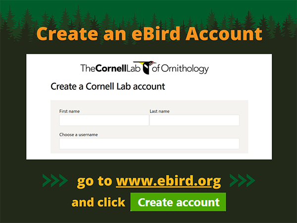 eBird Basics for Beginners: Submit Data: Maine Bird Atlas: Maine Dept ...