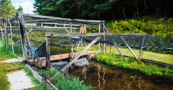 Hatchery Improvements: Hatcheries: Fish & Wildlife: Maine Dept of ...