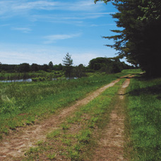 Swan Island Wildlife Management Area: Recreational Opportunities ...