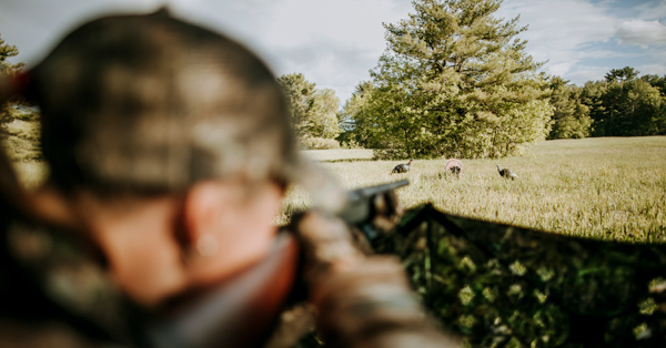 Turkey: Game Species: Hunting: Hunting & Trapping: Maine Dept of Inland ...