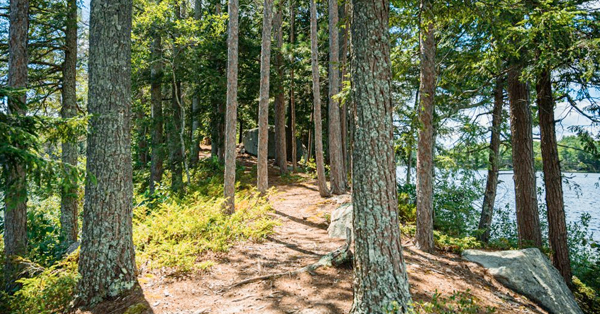 Wildlife Management Areas: Lands: Wildlife: Fish & Wildlife: Maine Dept ...