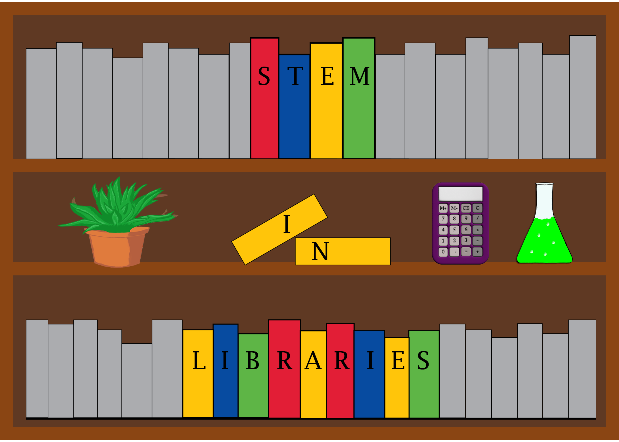 STEM in Libraries